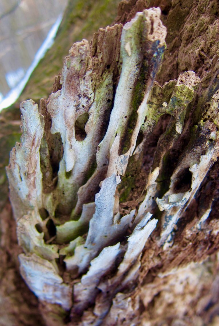 Breakfast in Scarborough – Page 4 – … by Catherine Raine