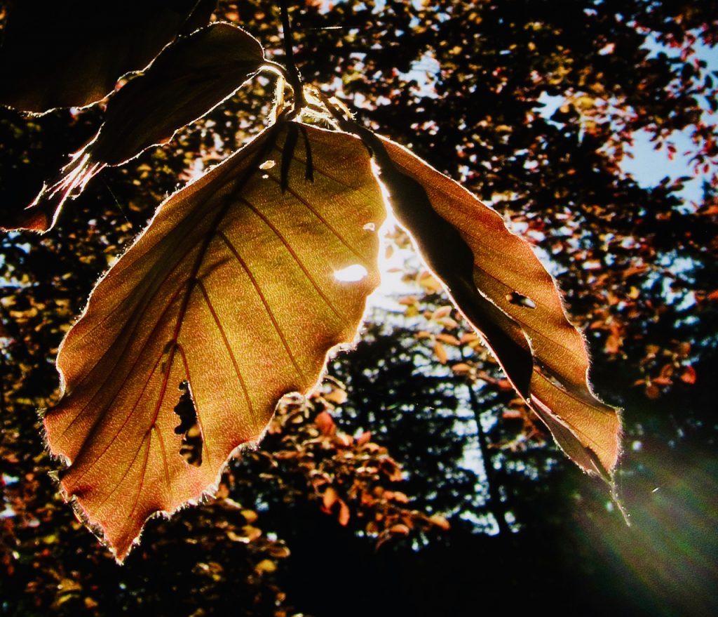 Breakfast in Scarborough – … by Catherine Raine